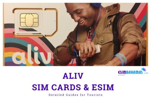 Best Aliv SIM Cards: a Comprehensive Guide for Tourists 2024