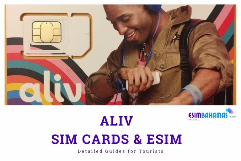 Best Aliv SIM Cards: a Comprehensive Guide for Tourists 2024